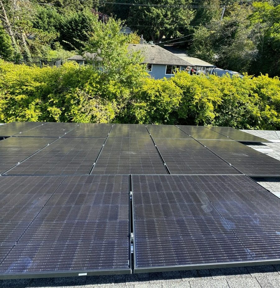 Arbutus Road - solve